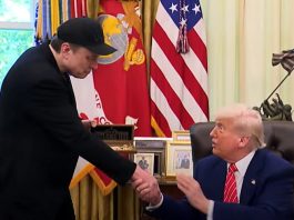 SPEKTAR - WebTribune